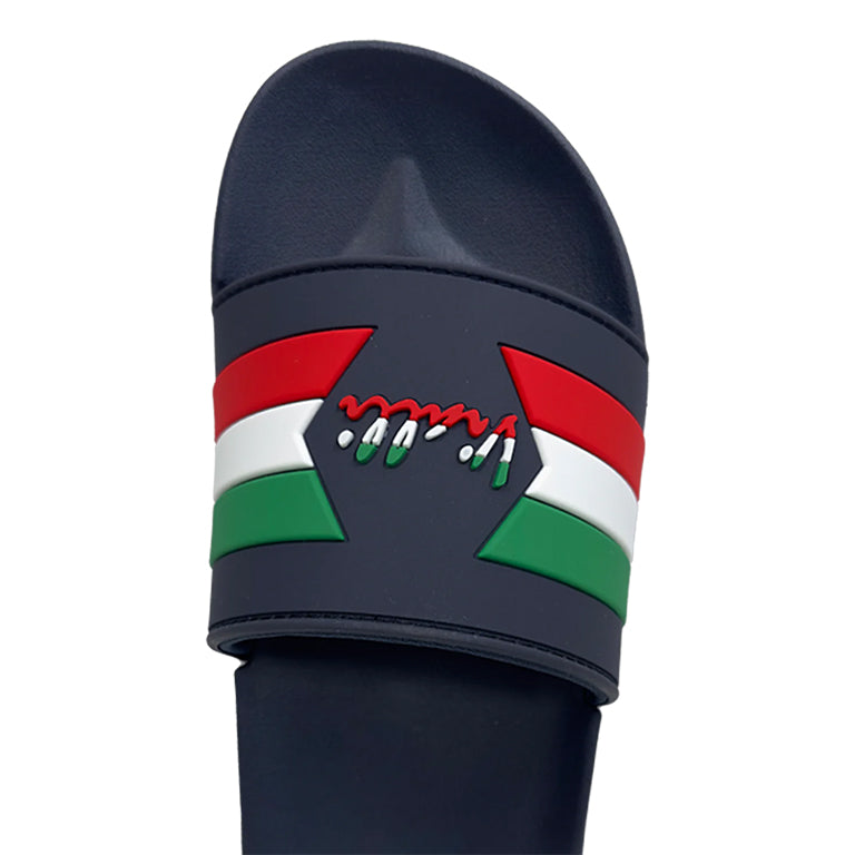 Vialli Italy Burdissia Slide