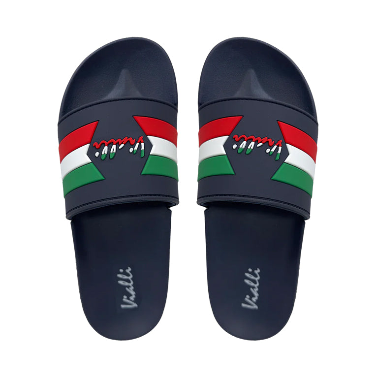 Vialli Italy Burdissia Slide