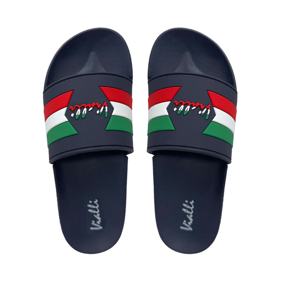 Vialli Italy Burdissia Slide